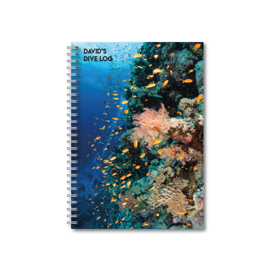 Wall Dive – Dive Proof