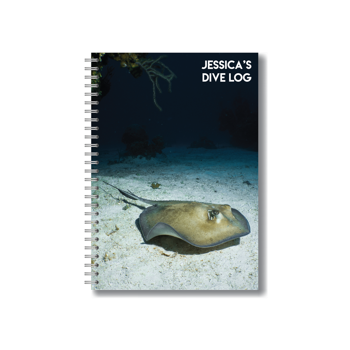 Sandy Ray – Dive Proof